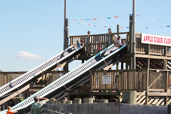 Evans Orchard - Market & Cider Mill - Georgetown, KY