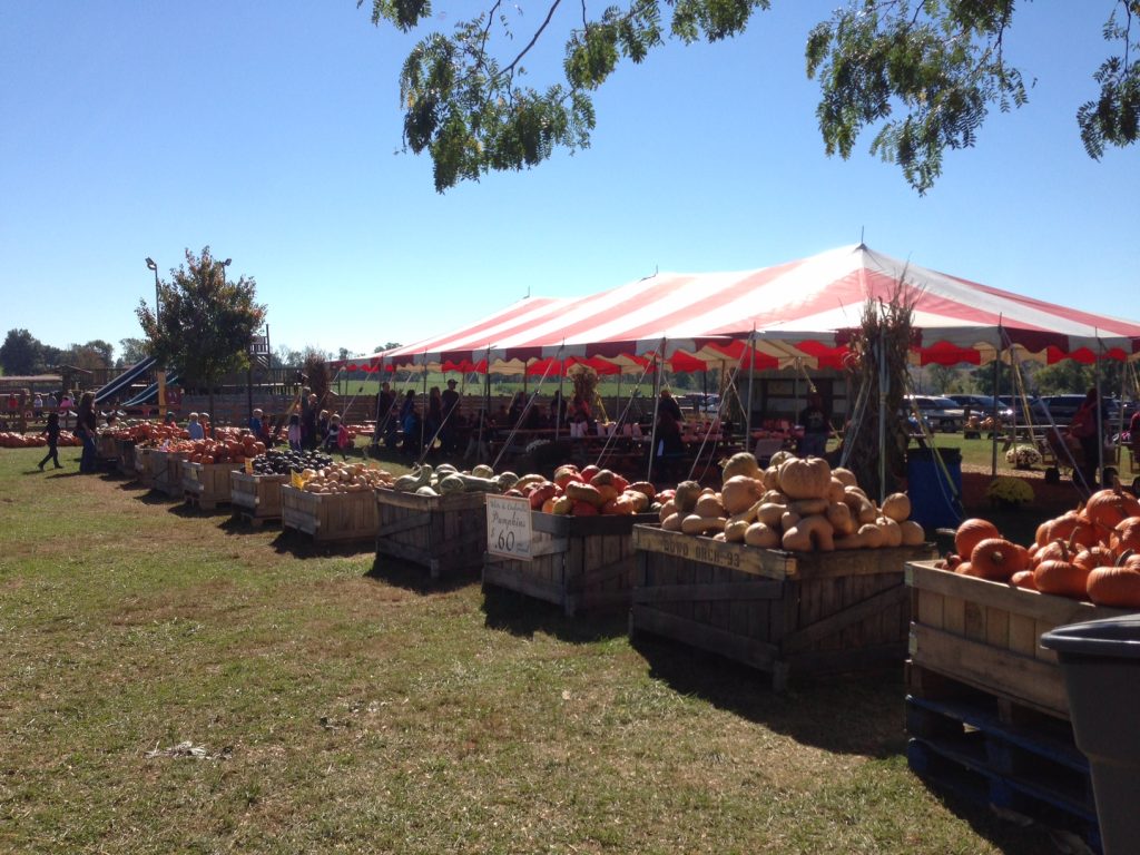 photo - Evans Orchard
