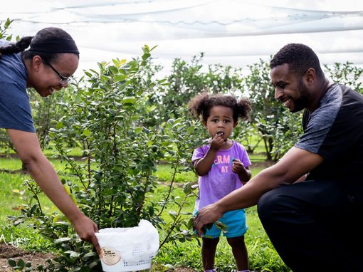 Evans Orchard - Market & Cider Mill - Georgetown, KY